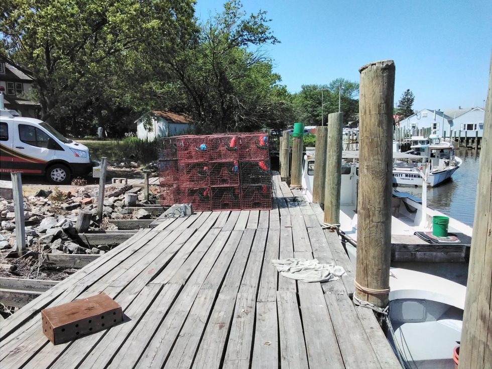 Crab Docks | Leipsic River | Delaware - ICC-IMS