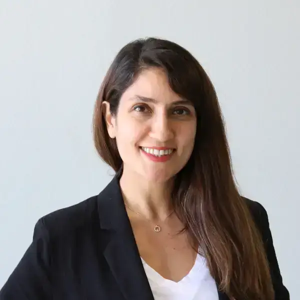 Consulting Team - ICC IMS
